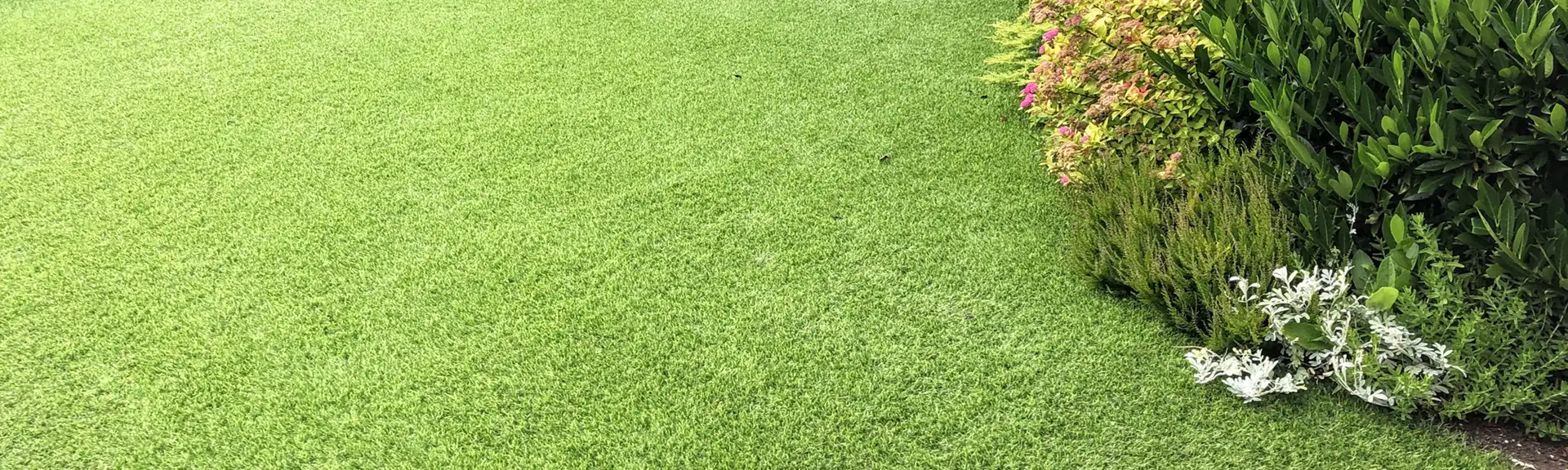 Artificial Grass Blog & Tips | Classic Backyards